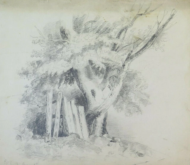 DESSIN ANCIENNE CRAYON Sur papier Signé Paysage Forêt France Premier ...