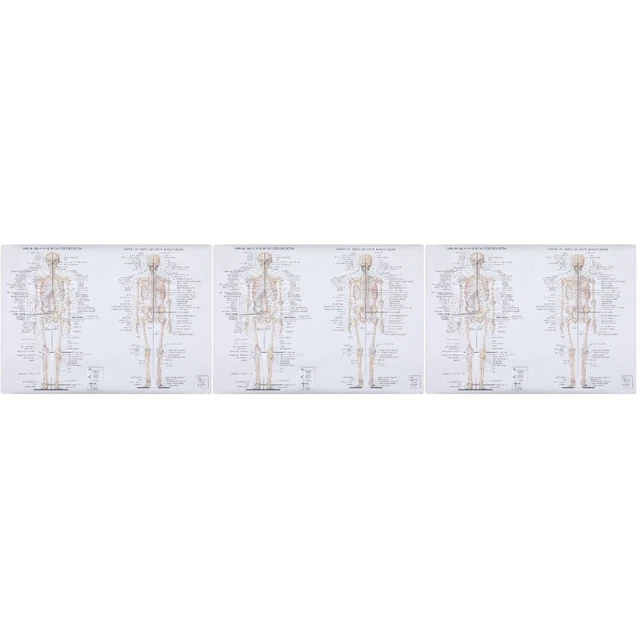 ANATOMY PHYSIOLOGY ANATOMY Skeleton Science Posters Anatomy Poster £20. ...