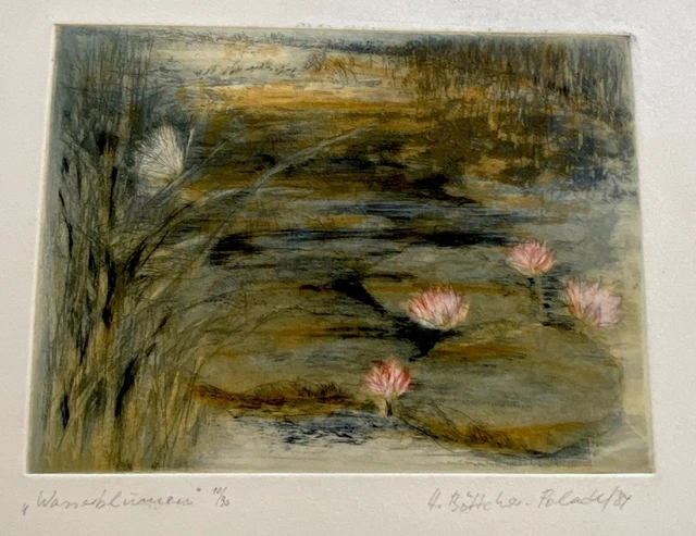 FARBRADIERUNG WASSERBLUMEN SEEROSEN sig. H. Böttcher - Polack EUR 48,00 ...