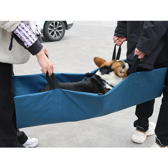 CIVIÈRE DE TRANSPORT pliante pour animaux de compagnie Civière de premiers EUR 34,76 - PicClick FR