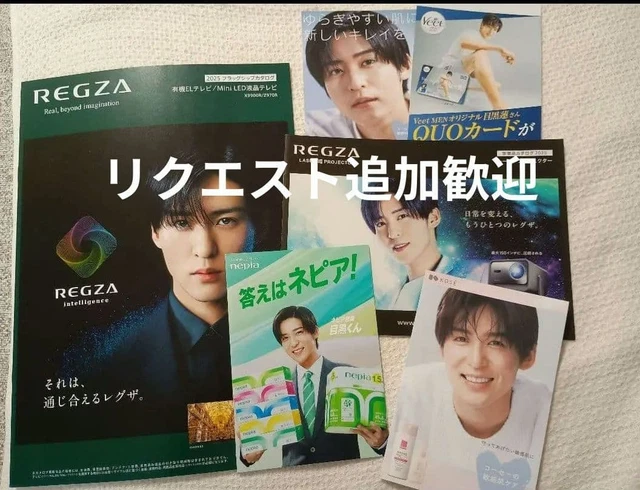 6 NEPIA REGZA Leaflet Catalog Meguro Ren KOSE $54.29 - PicClick CA