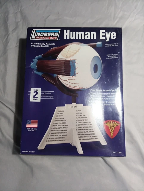 LINDBERG HUMAN EYE Model Kit Plastic Science Project New Sealed (Box ...