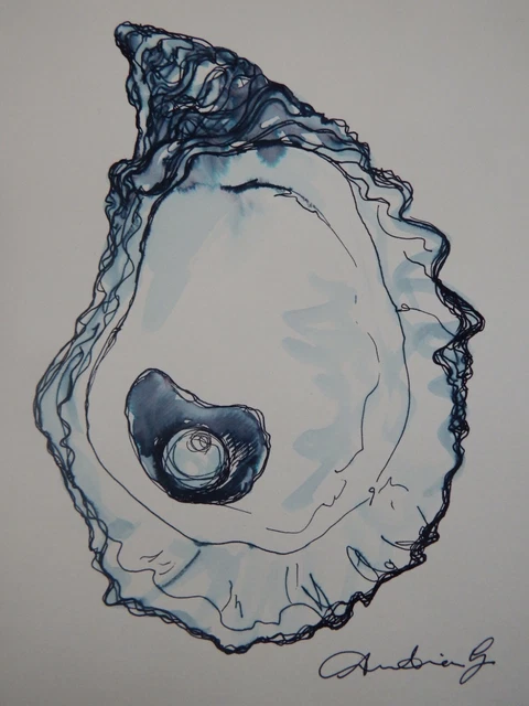 Oyster Shell Drawing