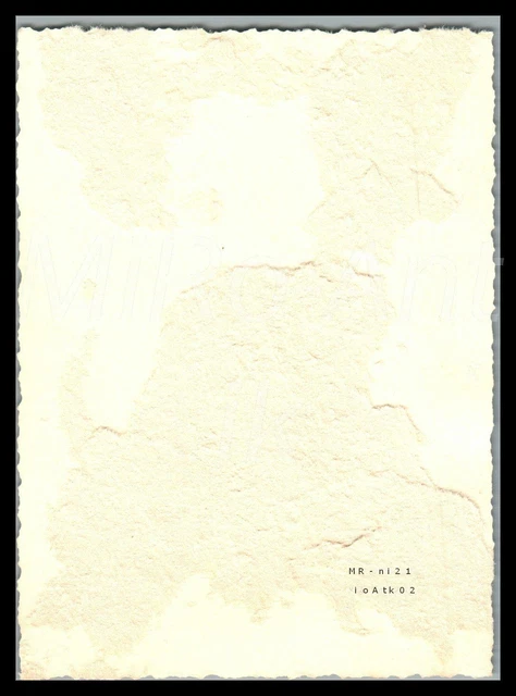 FOTO, WK2, 3.I.R.73, FRA, St.-Aignan, Sdt. in Bauer Josefs Garten d, 1940, L270L EUR 4,95 ...