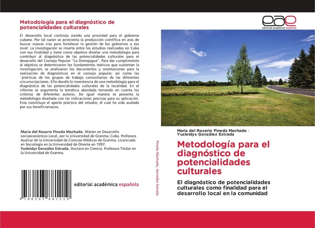 METODOLOGÍA PARA EL diagnóstico de potencialidades culturales | Machado (u. a.) EUR 49,95 ...