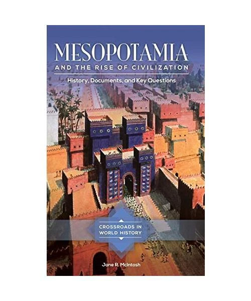 MESOPOTAMIA AND THE Rise of Civilization: History, Documents, and Key ...