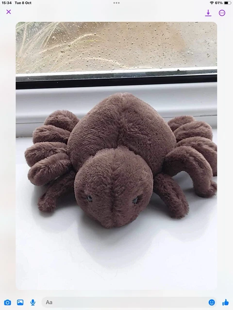 JELLYCAT OOKY SPIDER Jelly Cat Amuseable Halloween Retired £30.00 ...