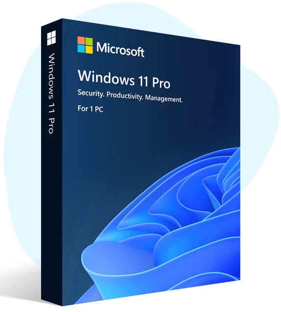 MICROSOFT WINDOWS 11 PRO 64-BIT (Retail License) - Fast Delivery ...