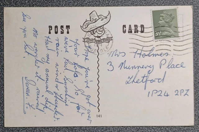 VINTAGE SAUCY SEASIDE Sunny Pedro Series Postcard 141, Mr Brown Posted ...