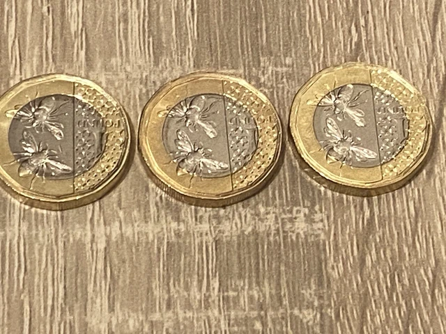 EXTREMELY RARE 2025 Bee 1£ (Rose Gold) Error Coin Off Centre Stamped ...