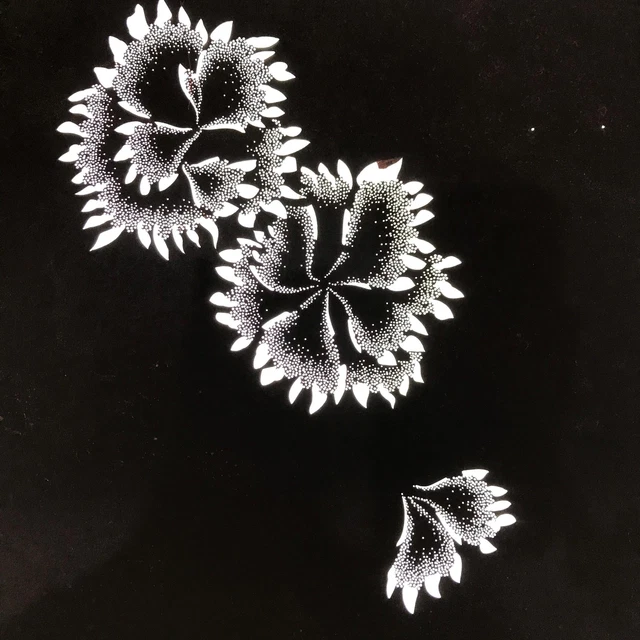 ANTIQUE JAPANESE KATAGAMI Paper Kimono Stencil Katazome Flower Blooms ...