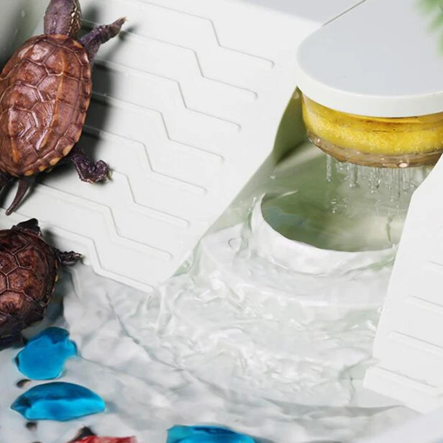 REPTILE HABITAT, FOOD Trough, Breeding Box, Basking Ramp Hatching Area ...