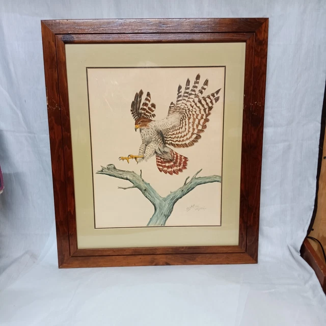 WOW!! JERRY BISHOP~NUMBERED/SIGNED Hawk Drawing!! £66.14 - PicClick UK