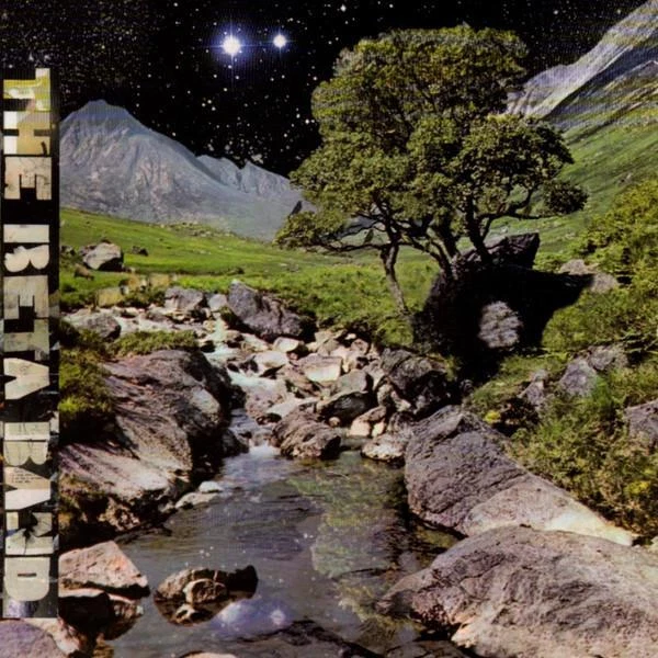 BETA BAND SELF-TITLED CD UK Regal 1999 promo REG30DJ EUR 8,04 - PicClick FR