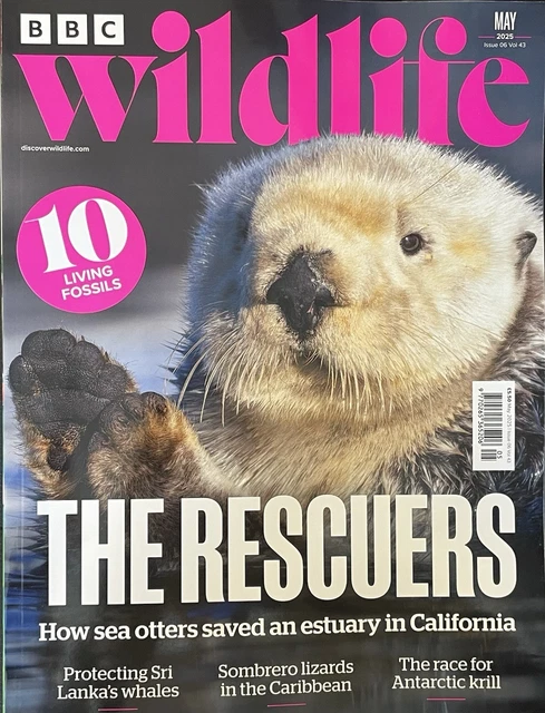 BBC WILDLIFE MAGAZINE Issue May 2025 £10.99 - PicClick UK