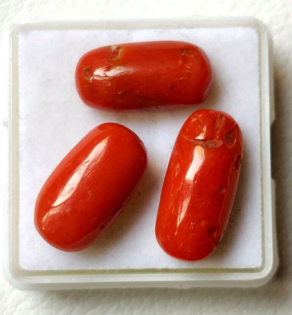 RARE PIERRE PRÉCIEUSE de corail rouge italien naturel non chauffé ...