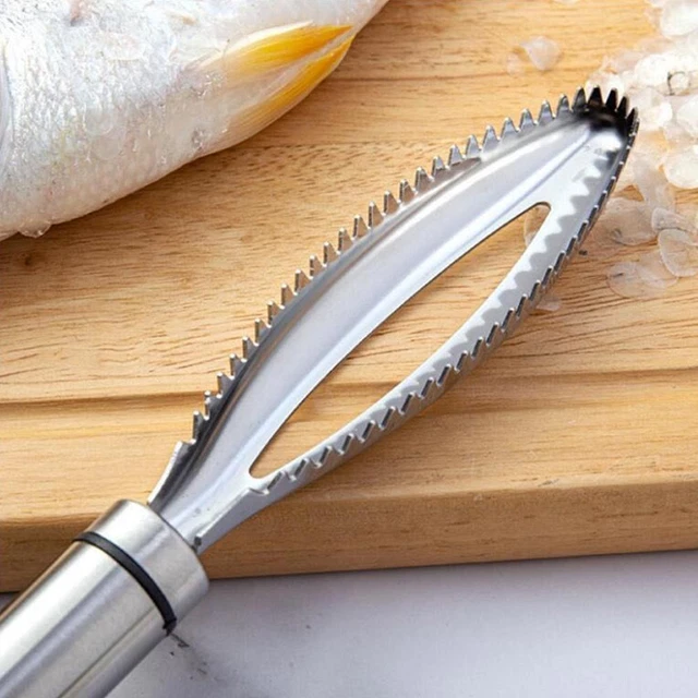 24CM FISH SCALE Remover Scaler Scraper Cleaner Kitchen Lot R3 Peeler ...