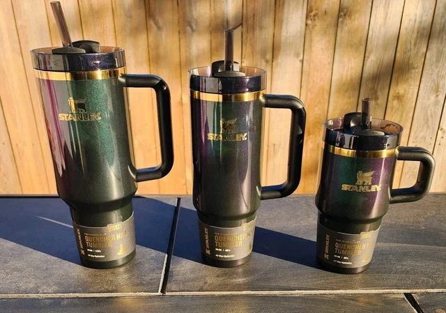 STANLEY X WICKED Elphaba For Good FlowState Quencher Tumbler Set 40oz ...