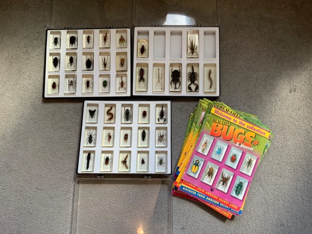NATIONAL GEOGRAPHIC BUGS and Insects in resin with magazines £80.00 ...