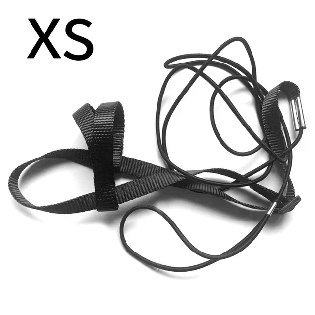 PAPAGEIEN-VOGELGESCHIRR, LEINE, OUTDOOR-FLIEGEN-TRAKTIONSGURT, Flug ...