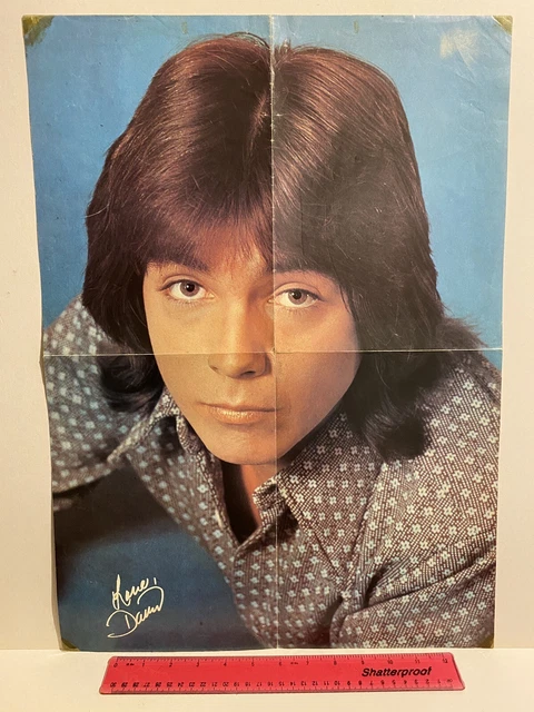 DAVID CASSIDY POSTER Vintage 1970s Pull-Out From Magazine The Partridge ...