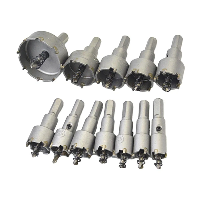 SET DI PUNTE per trapano per fori pesanti da 12 pezzi per aprifori per ...