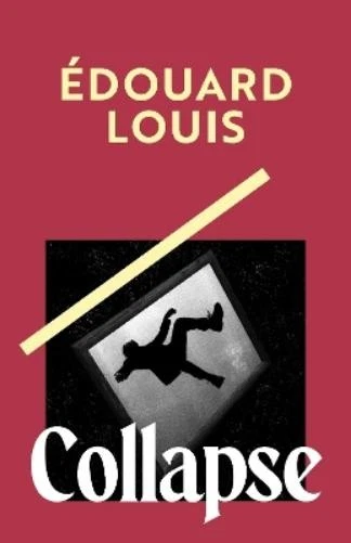ÉDOUARD LOUIS COLLAPSE (Relié) (PRESALE 2026-04-30) EUR 21,79 - PicClick FR