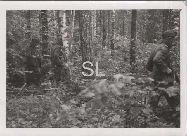 FOTO, 2. PANZER-ARMEE, Durchkämmen d, Waldes, Brjansk, Russland, 1943 ...