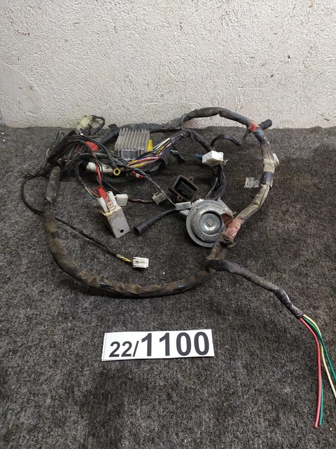CABLAGGIO IMPIANTO ELETTRICO Gilera ICE 50 cc roller EUR 64,00 ...