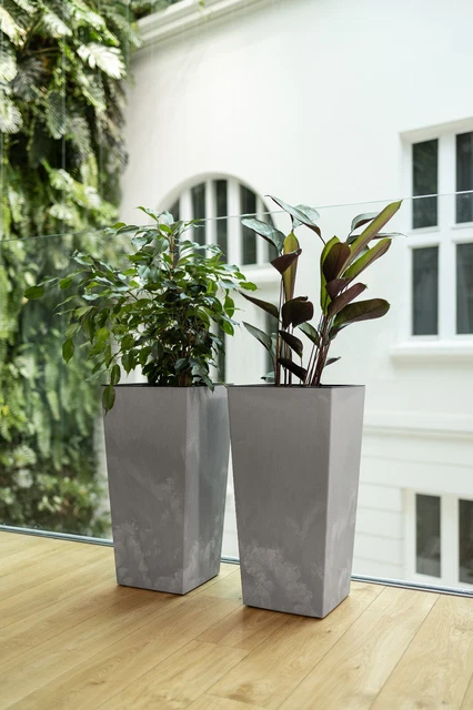 Design Pflanzkbel Innen