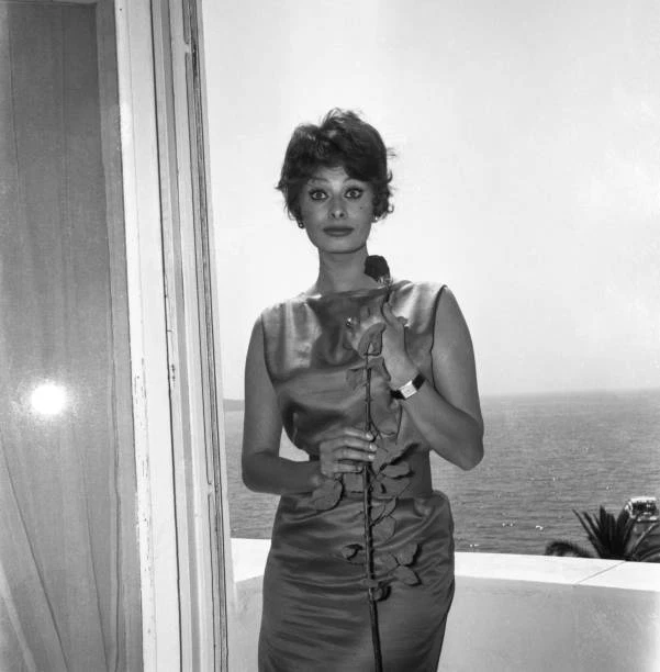 ITALIAN ACTRESS SOPHIA Loren at the Cannes Film Festival May 1959 Old ...