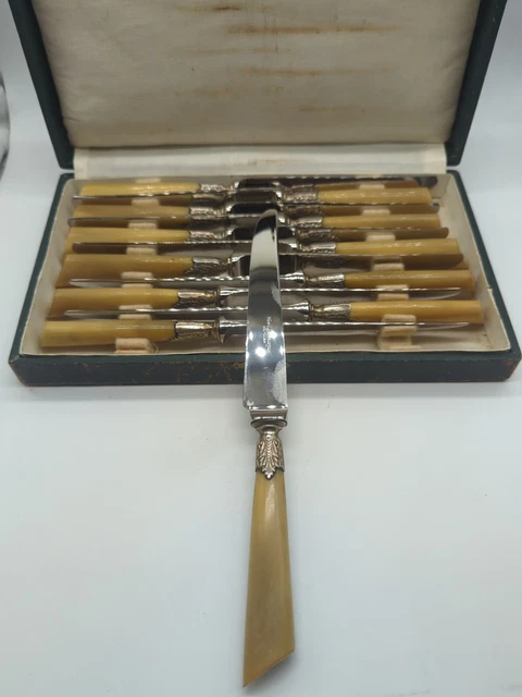 COFFRET 12 COUTEAUX orfèvre Henri Lamouroux coutelier, manche en corne ...