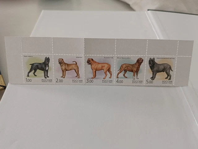 FRANCOBOLLI ANIMALI CANI Serie Completa Nuova EUR 0,80 - PicClick IT FRANCOBOLLI ANIMALI CANI Serie Completa Nuova EUR 0,80 - PicClick IT