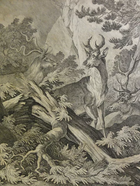 JOHANN ELIAS RIDINGER (1698-1767) TOP- orig. RAR Kupferstich 1737: HIRSCH - JAGD EUR 245,02 ...