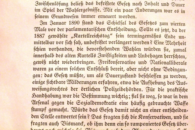 50 SEHR ALTE Buchseiten altdeutsche Schrift uralte Nostalgie schöne ...