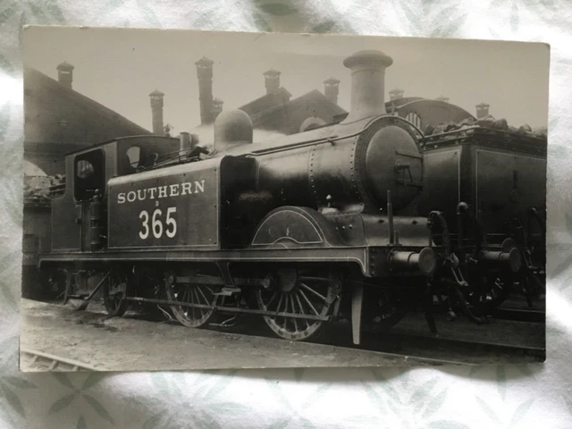 DS CLASS SOUTHERN 365 (Victoria) - Steam Train - Real Photograph £2.95 ...
