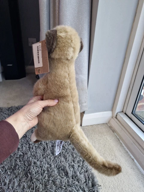 NEW PLANET WORLD Meerkat Wild Animals Soft Toy Plush £8.00 - PicClick UK