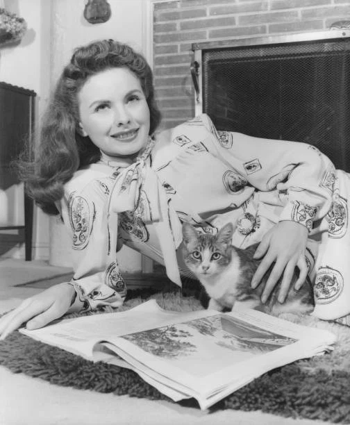 AMERICAN ACTRESS JEANNE Crain At Home With A Pet Cat Circa 1955 Old ...
