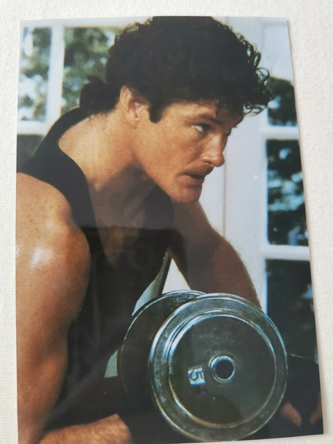 DAVID HASSELHOFF BAYWATCH Knight Rider Foto Photo 10x15cm Promo Presse ...