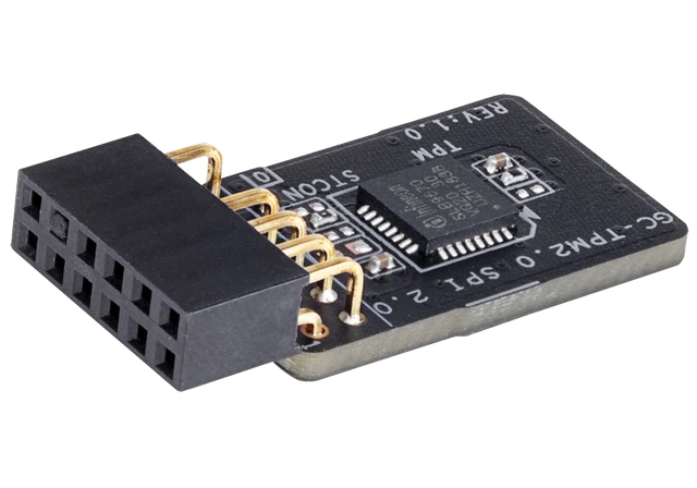 GIGABYTE GC-TPM2.0 SPI 2.0 | Trusted Platform Module Windows 11 | 12-1 ...