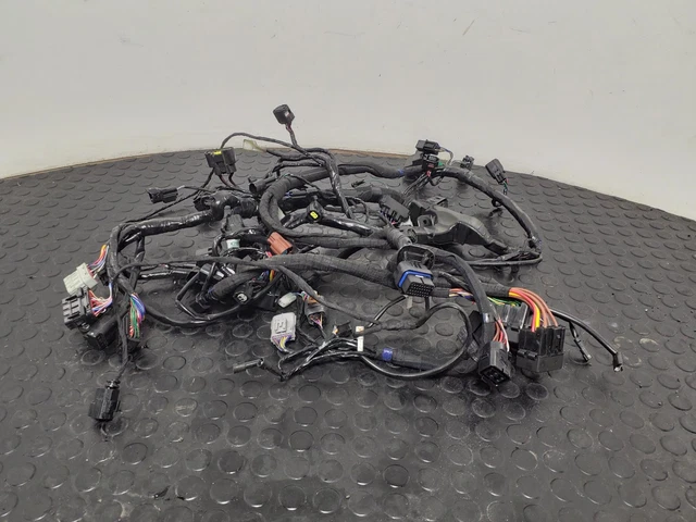 TRIUMPH TIGER SPORT 660 Wiring Harness 2022-2024 £219.44 - PicClick UK