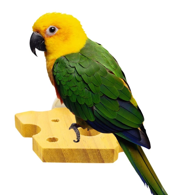 BIRD CAGE ACCESSORIES Parrot Perch Play Stand Stands for Parrots $18.14 ...