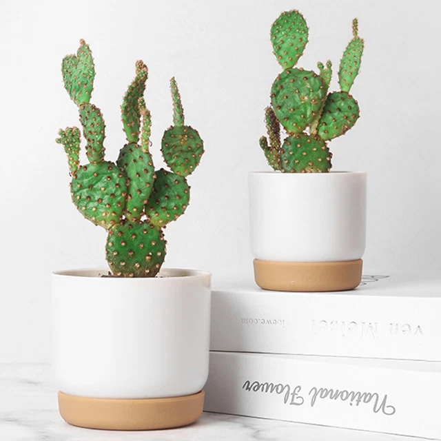 POTS DE PLANTES auto-arrosants élégants avec soucoupes ...