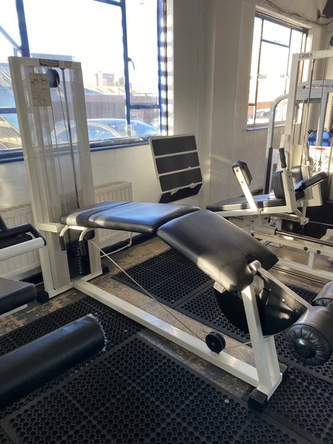 HEAVY DUTY PRE Loaded Techno Gym Prone Leg Curl Machine £450.00 ...