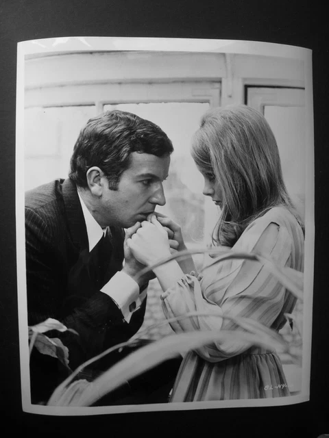 LINDA HAYDEN KEITH Barron "Baby Love"- Original 1969 Avco Press Photo ...