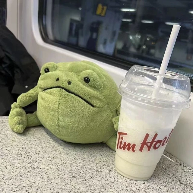 JELLYCAT SPECIAL EDITION Rain Frog: Medium Ricky, BNWT Brand New With ...