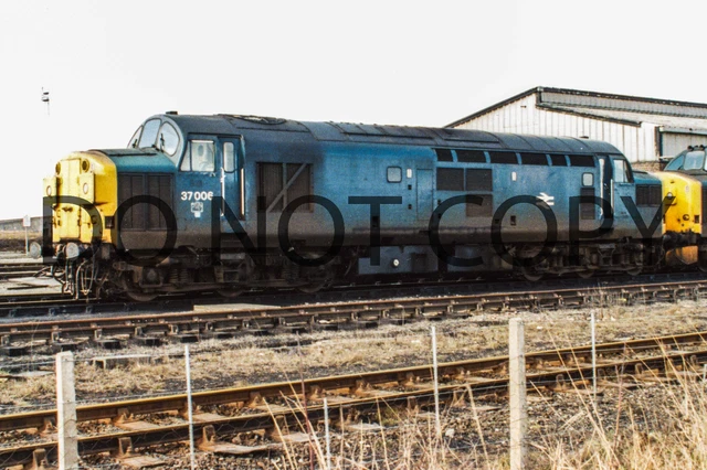 UK DIESEL TRAIN Railway Photograph Of Class 37 37006 Loco. Rm37-12 £1. ...