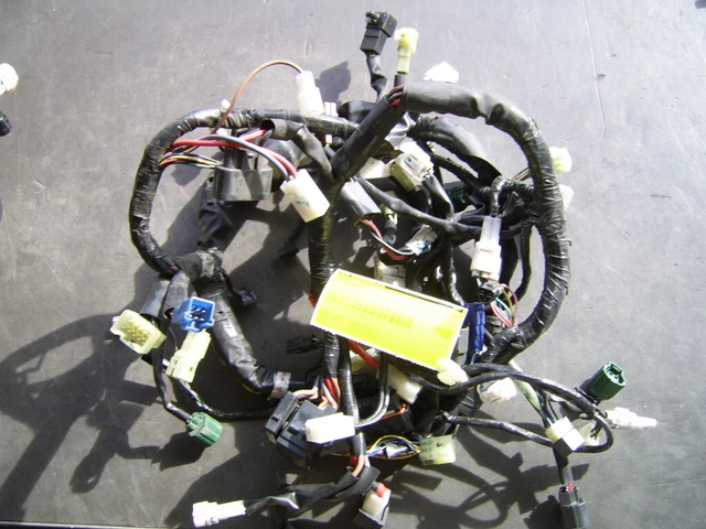 FAISCEAU DE CÂBLAGE DIVERS Yamaha TDM 900 2002-2009 2005 EUR 70,00 - PicClick FR