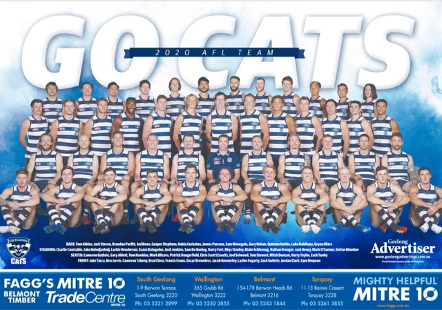GEELONG CATS TEAM PLAYER POSTER,Laminated,AFL FOOTBALL PREMIERS ...