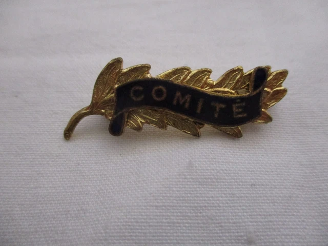 ANCIENNE PETITE BROCHE/INSIGNE Emaille "Comité" Palme A Identifier EUR ...
